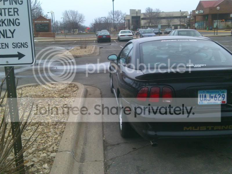 Rear Window Decal Opinion | SN95Forums The Only SN95 1994-2004 ...