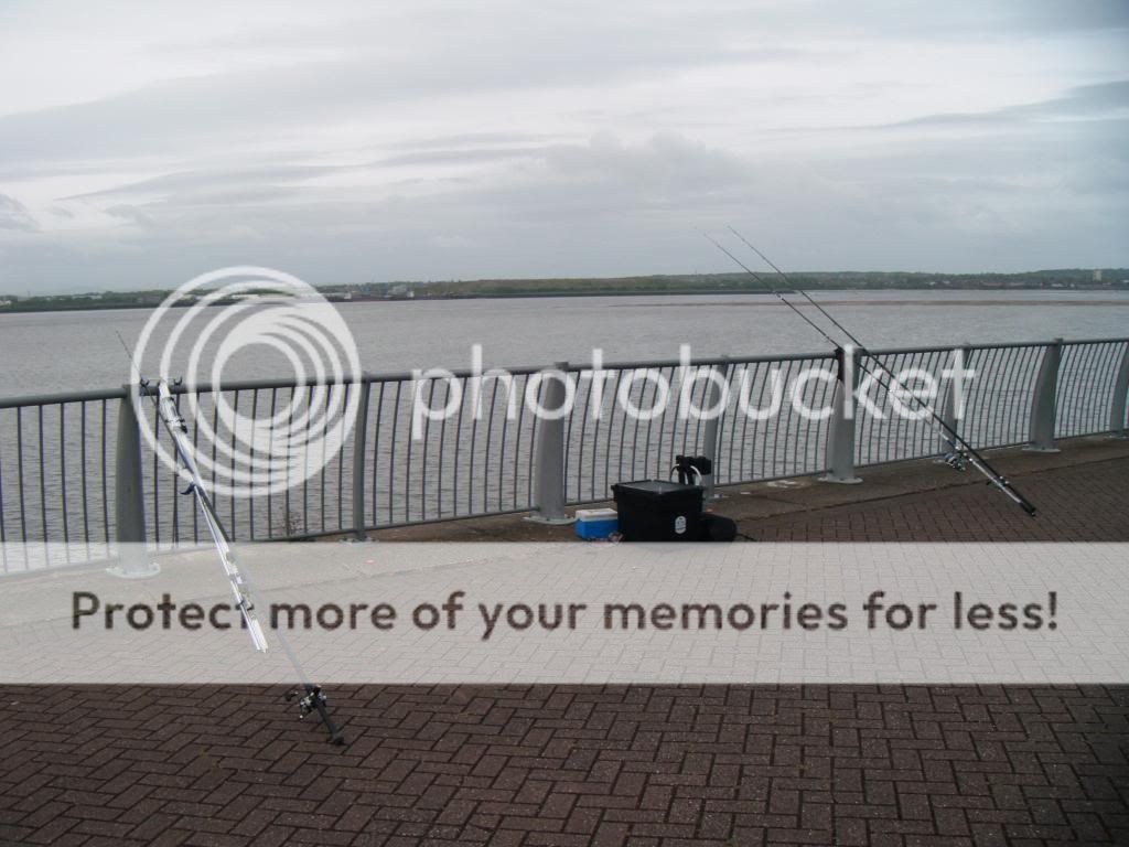 Mersey Anglers Open, Otterspool Prom - The Fishermans Net